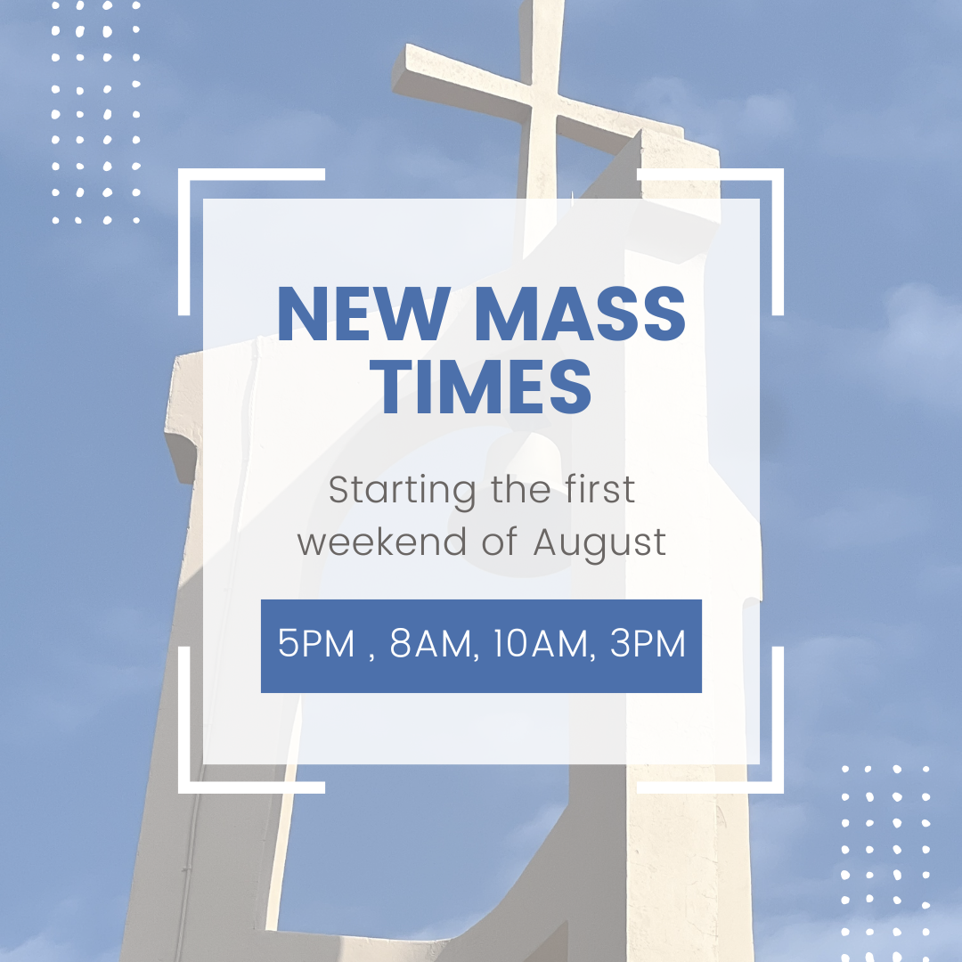 Home [www.svcape.com]